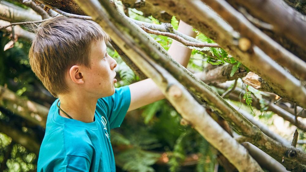 5 Easy Bushcraft Activities for Schools and Clubs to Try - The ...